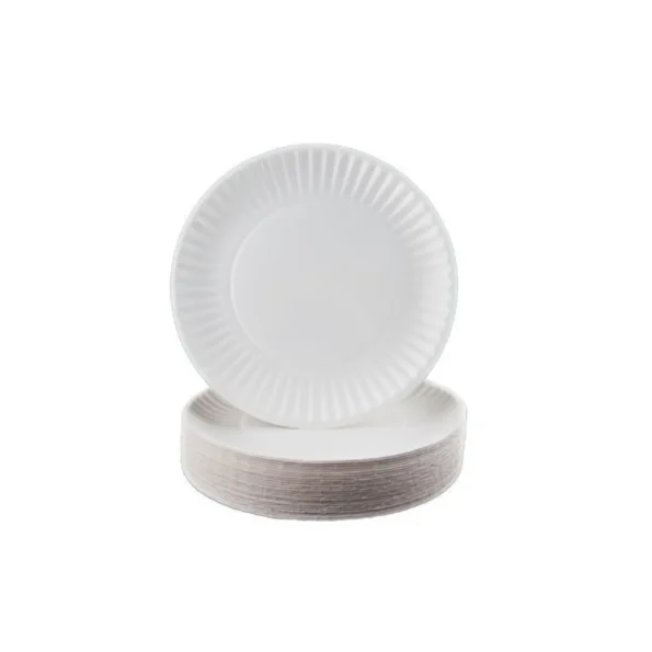 Disposable Plates – Openshaw Superstore